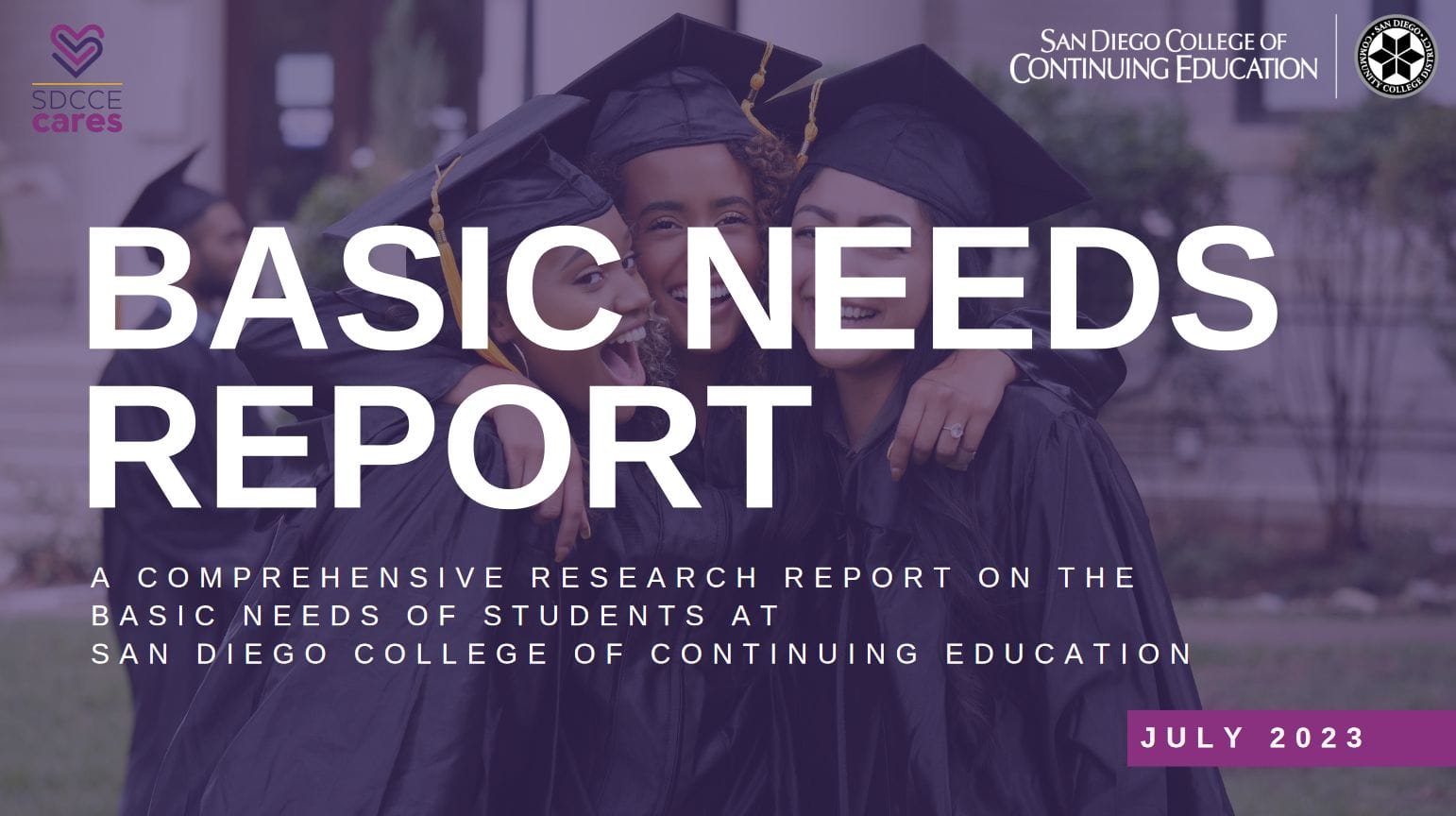 SDCCE - Basic Needs Research Report - Inclusive Data